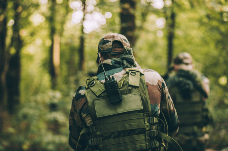 SANDF Military Skills Development System Application Form 2023 – South ...