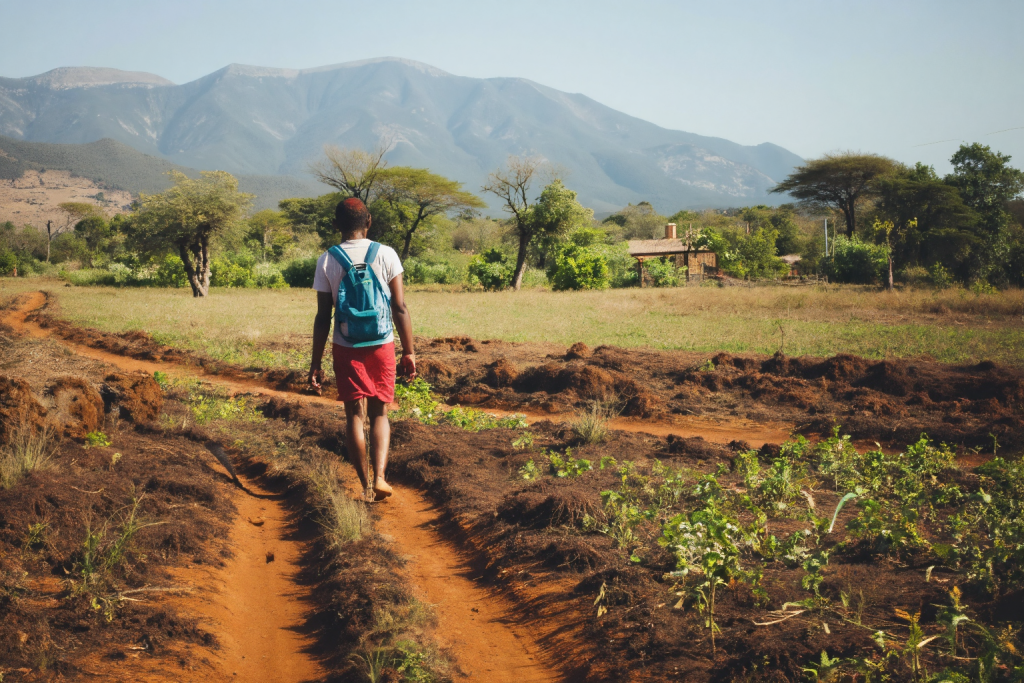 Creating Sustainable Jobs in Rural South Africa: Strategies for ...
